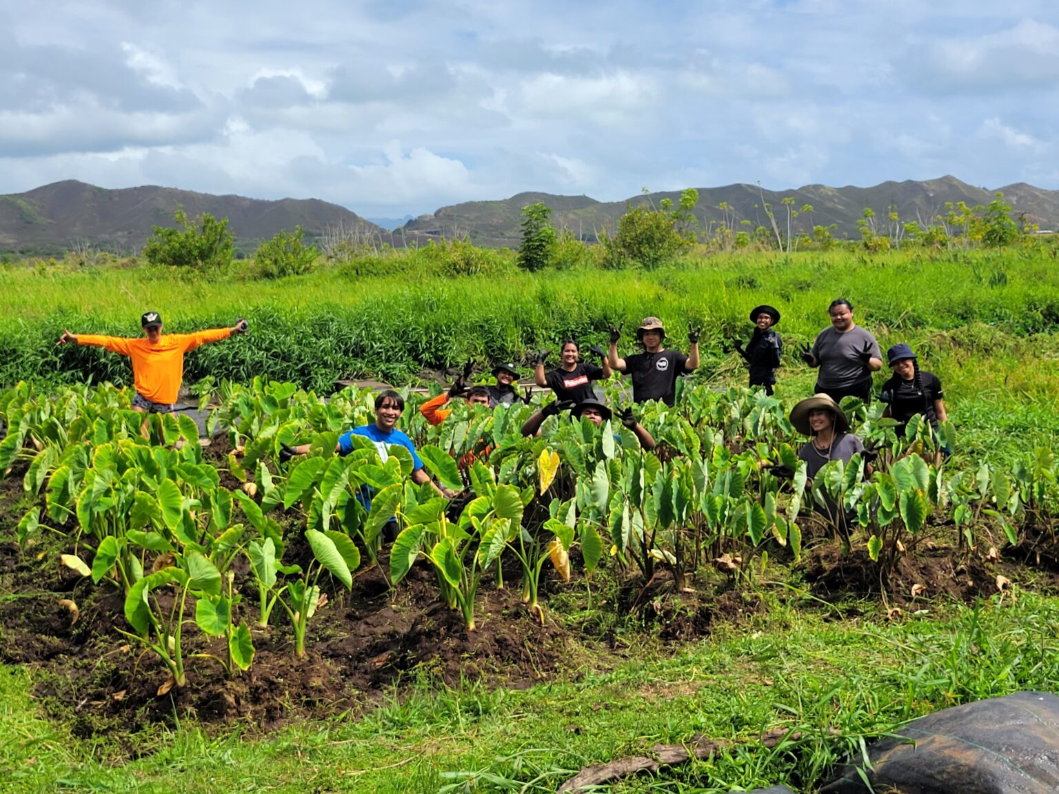 About The REU Program – Research Experience for Undergraduates (REU)